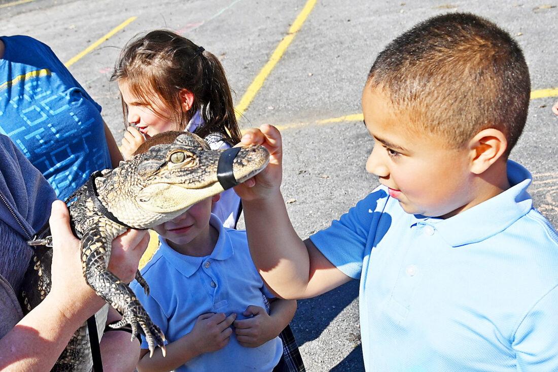 All God’s creatures: Pets receive special blessing for feast day of St ...